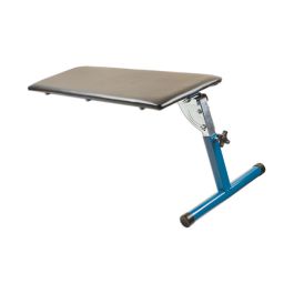 Mechanics Support Bench